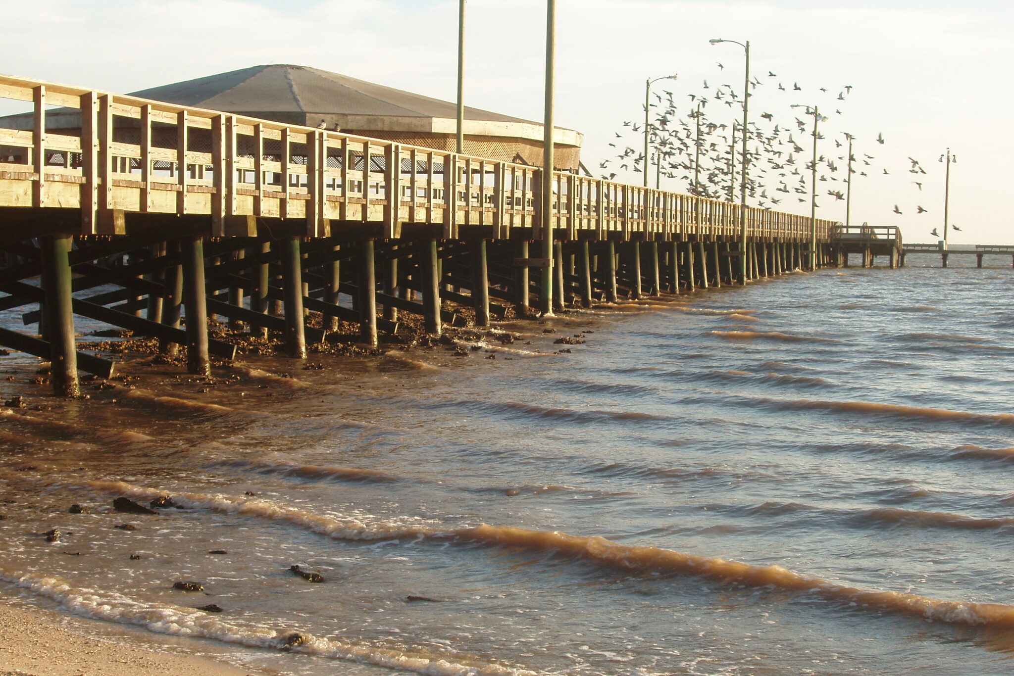 Things To Do in Texas Coastal Bend | Explore Coastal Bend